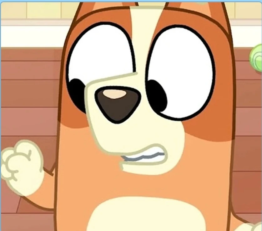 Bingo has no eyebrows!!! | Fandom