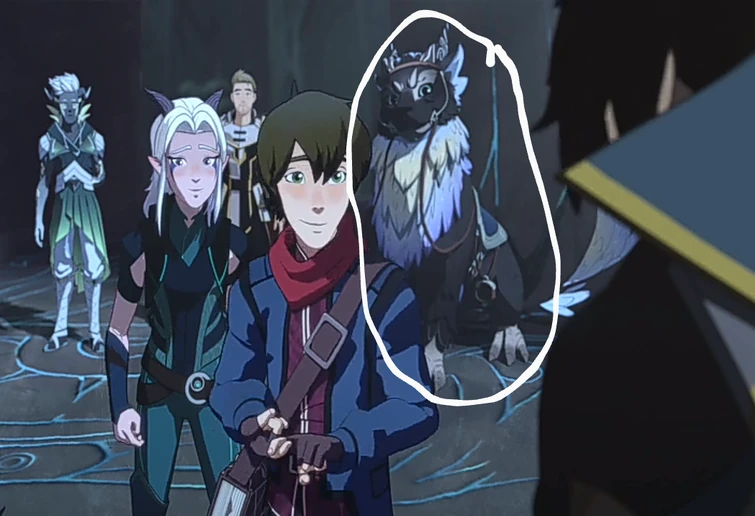 Discuss Everything About The Dragon Prince Wiki | Fandom