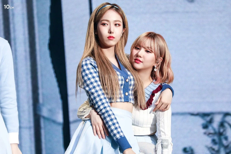 Daily VIVIZ day 81 | Fandom