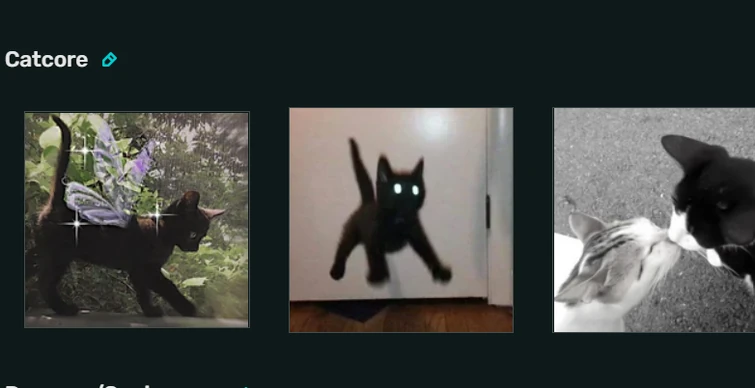 catcore is love catcore is life | Fandom