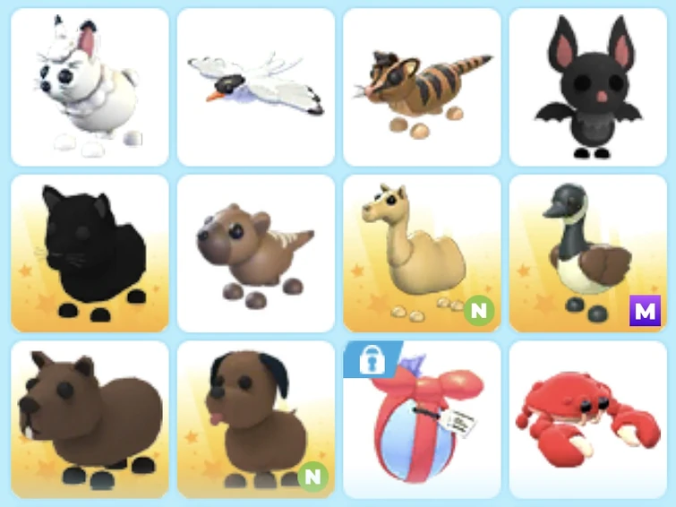 Discuss Everything About Adopt Me! Wiki | Fandom