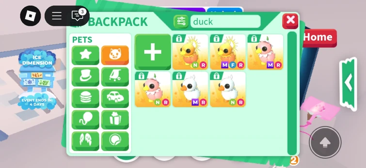 Discuss Everything About Adopt Me! Wiki | Fandom