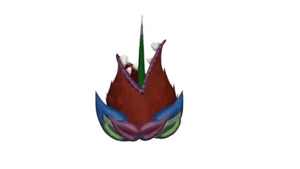 Final Thornstep Fandom