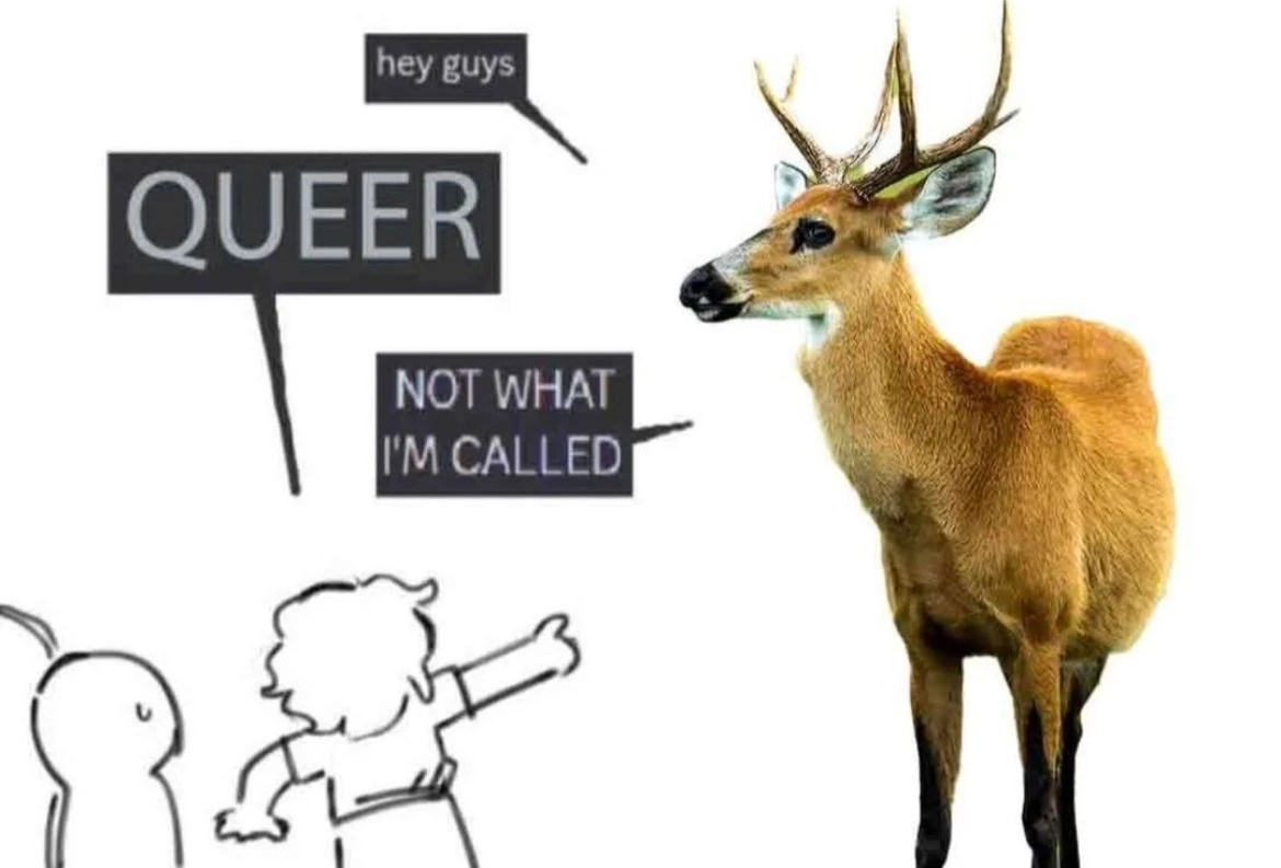 At a concert rn and holy SHIT this is peak | Fandom