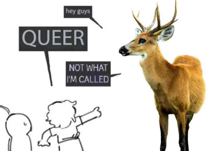 At a concert rn and holy SHIT this is peak | Fandom