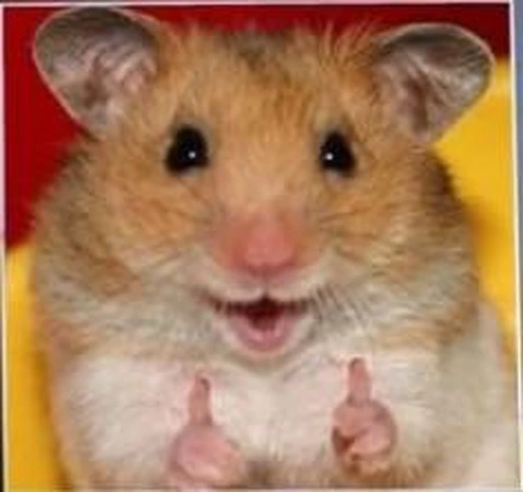 Hamster question | Fandom