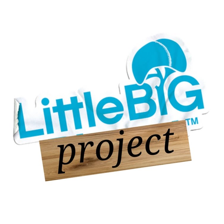 Hello we have a project call little big project we,make fan games of ...
