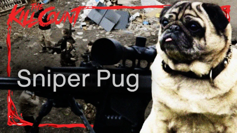 Sniper Pug (2014) KILL COUNT | Fandom