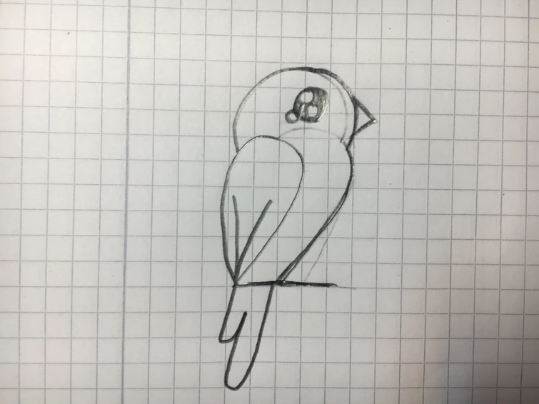 How to draw a cute little bird (easy tutorial) | Fandom
