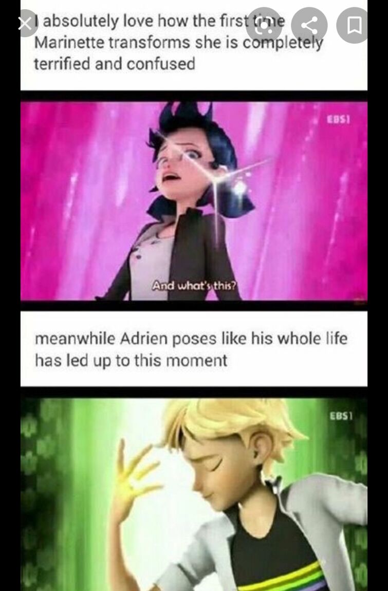 Daily Memes: Day #6! | Fandom