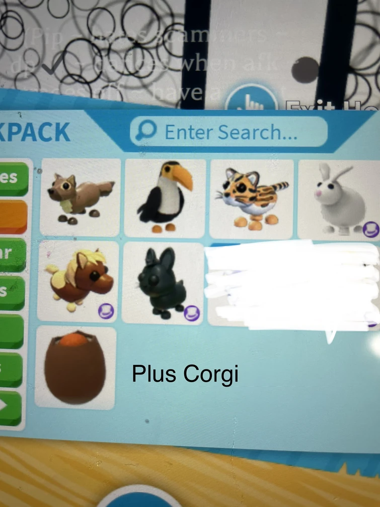 Who has Bali Starlings? | Fandom