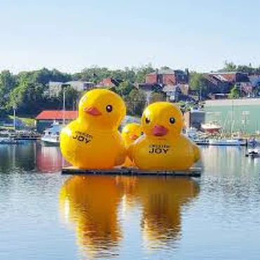 Rate ducks 🦆 | Fandom