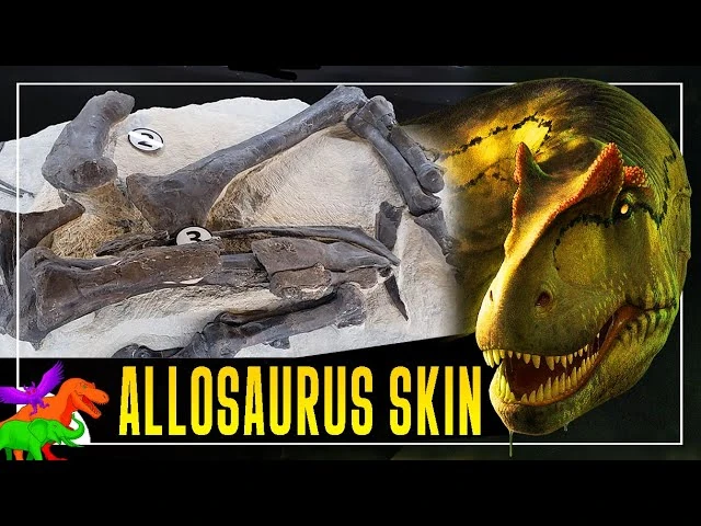 Club Scaly for The Allosaurus // Allosauridae ( and perhaps ...