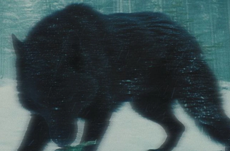 what aesthetic would this be? | Fandom