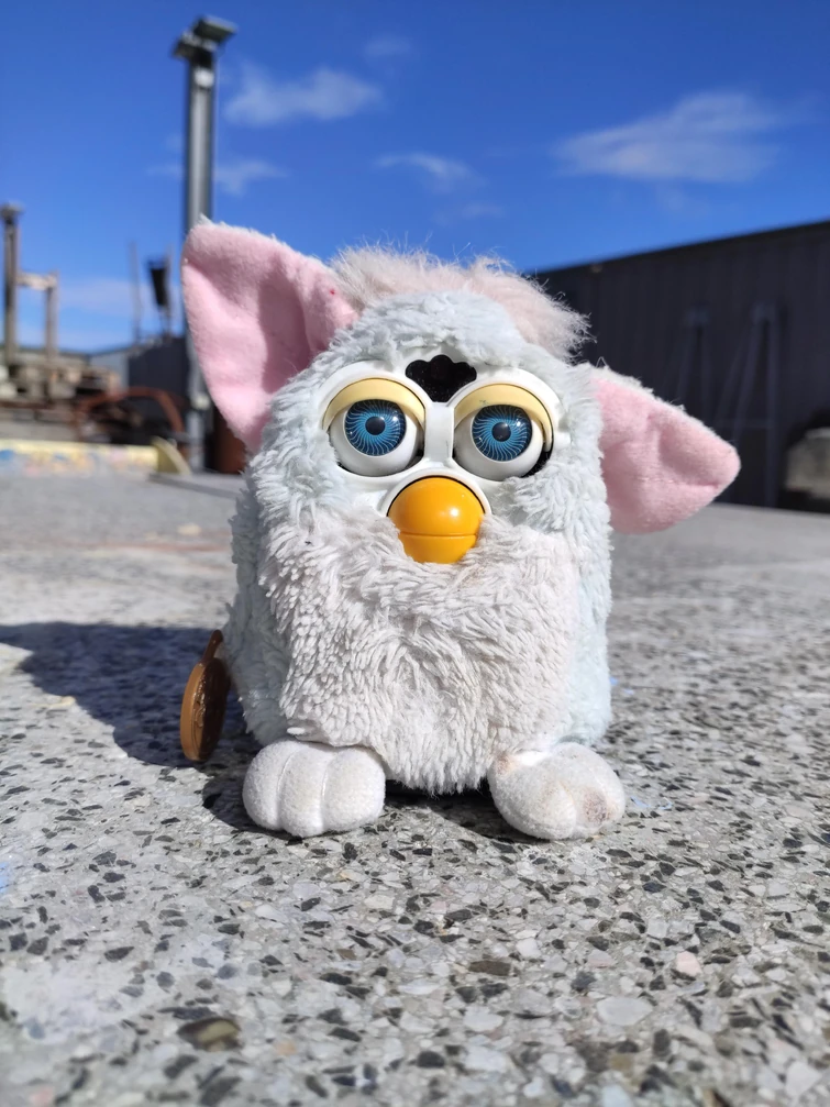 Adult Furby babies | Fandom