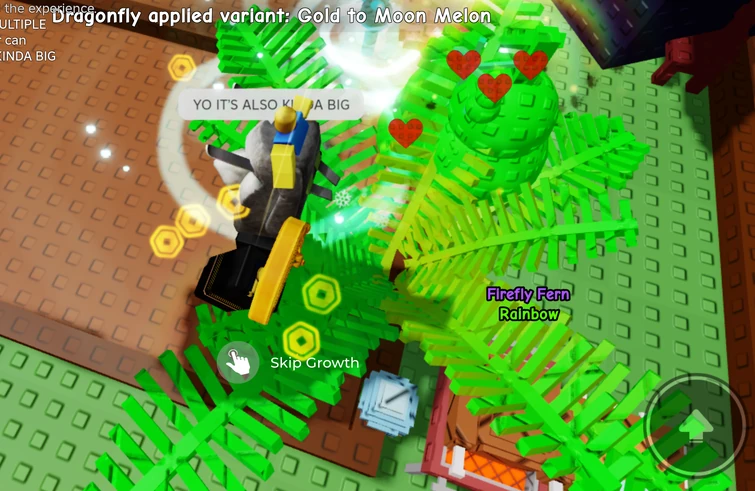 Firefly Fern placed Down | Fandom