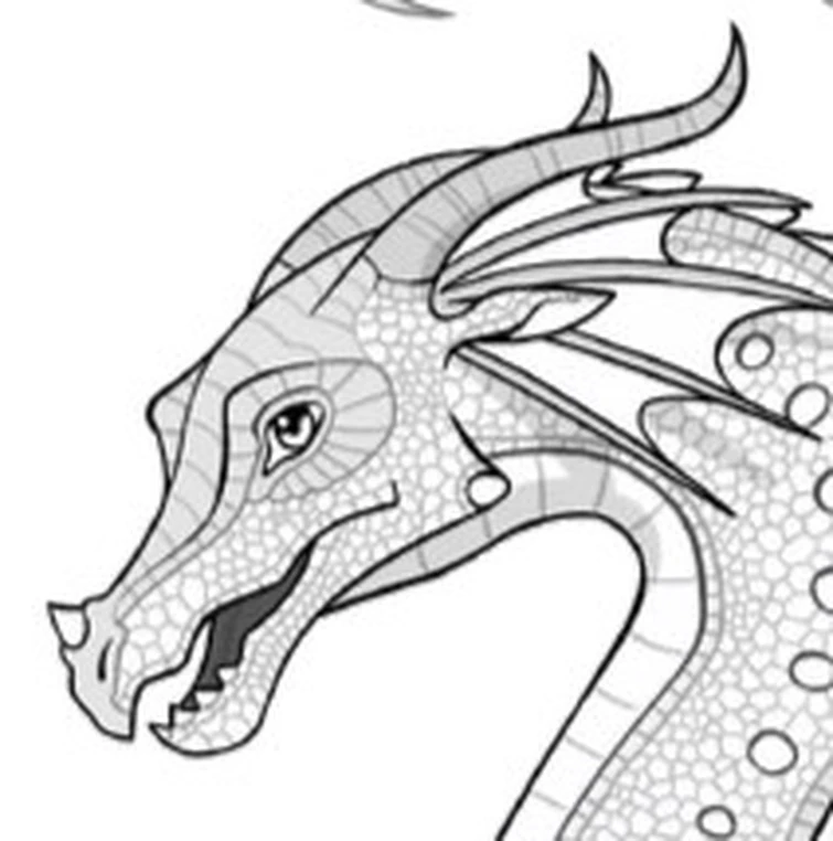 useless wings of fire facts 12 | Fandom