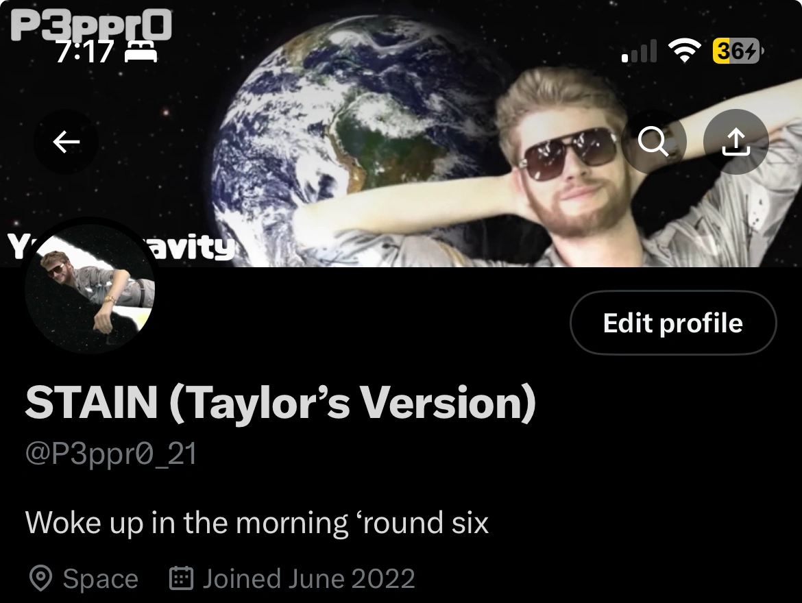 Does anyone like my new twt layout? | Fandom