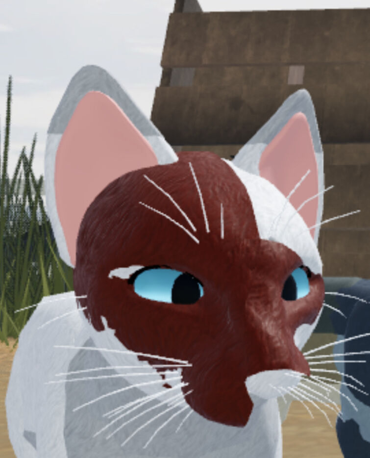 These wcue glitches keep getting stranger 😭 | Fandom