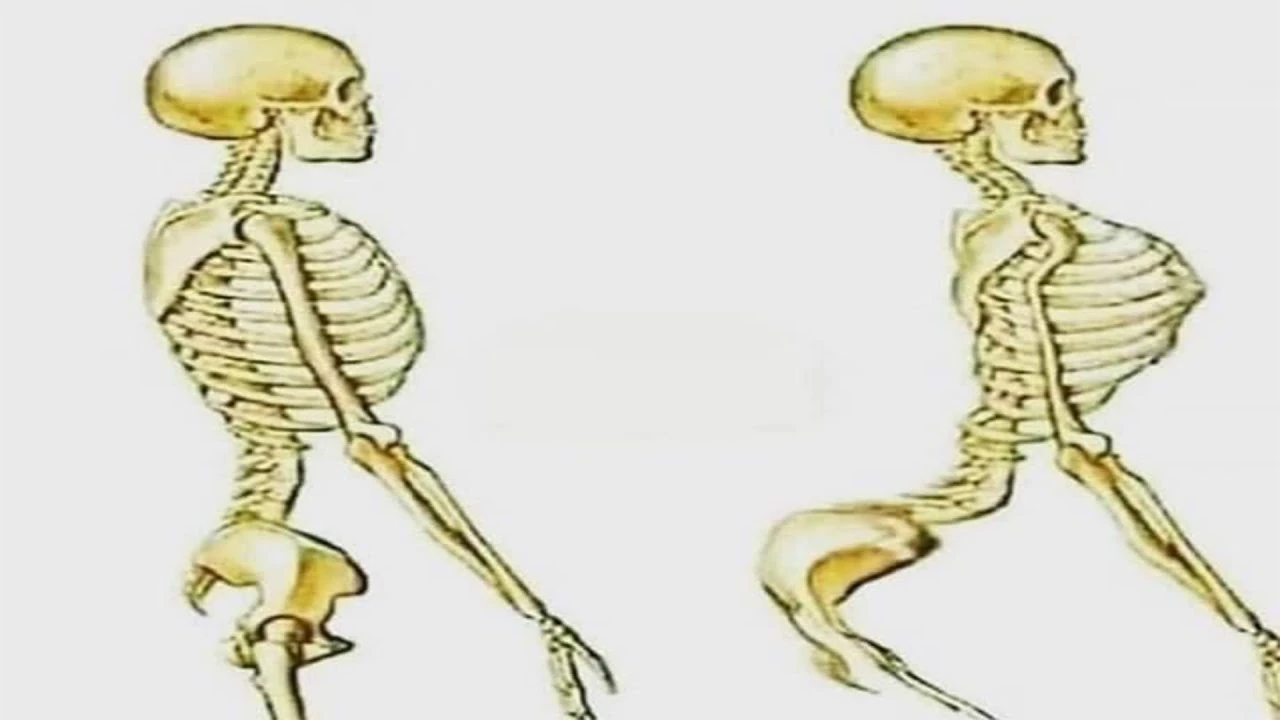 online check | Fandom