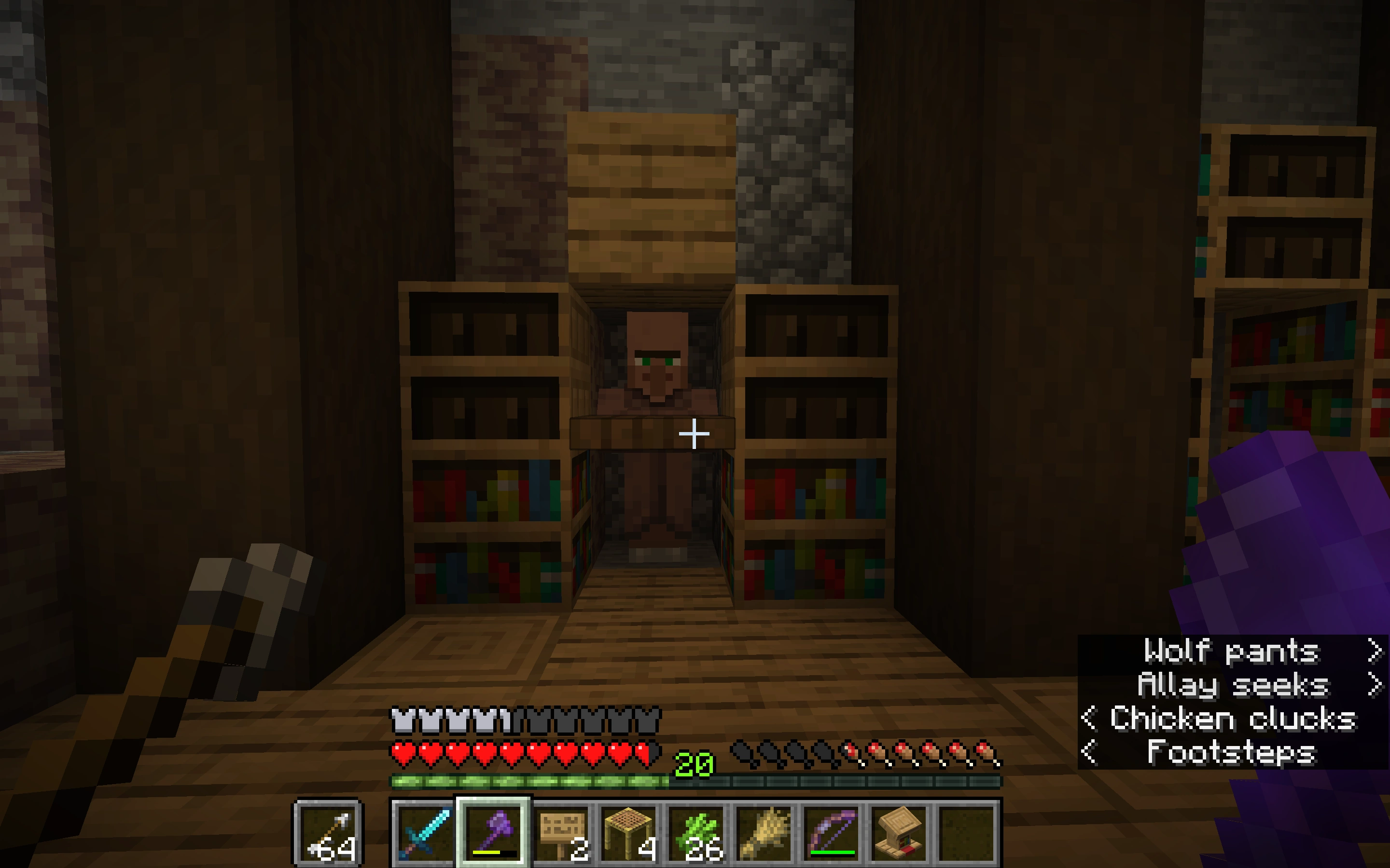 FIRST VILLAGER IN LIBRARY !!!! | Fandom