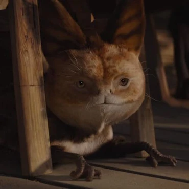 Cutest thing in Star Wars? | Fandom