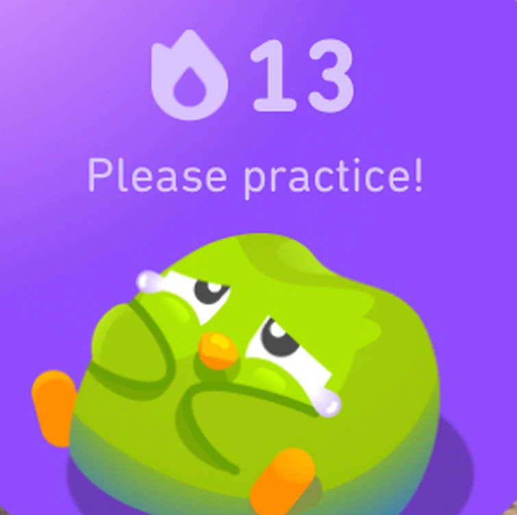 I think I made duolingo sad | Fandom