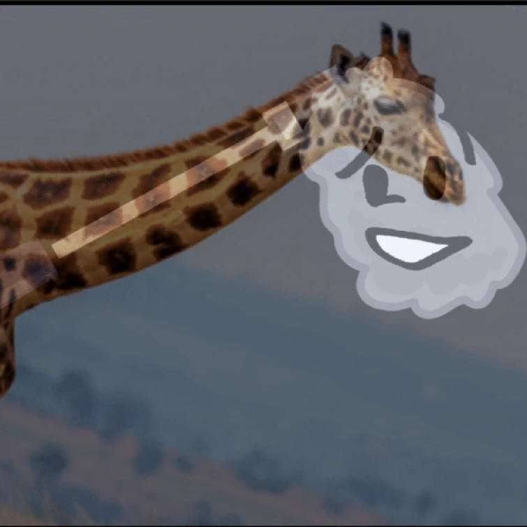 Staff Applications | Fandom