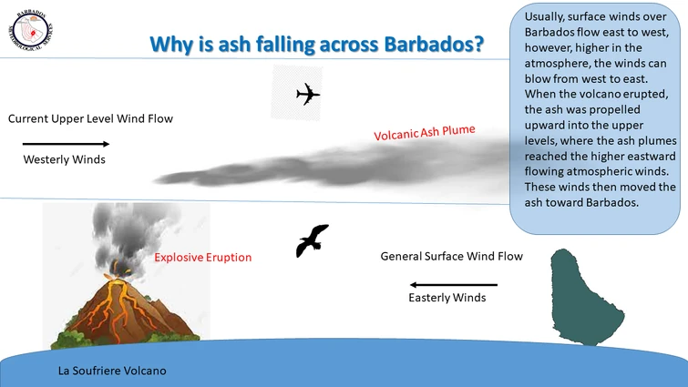 Discuss Everything About Jurassic Park Wiki | Fandom