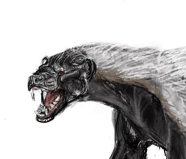 WDLYM: Gigantic Prehistoric Mustelids | Fandom