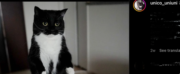 Uni and Uni | Fandom