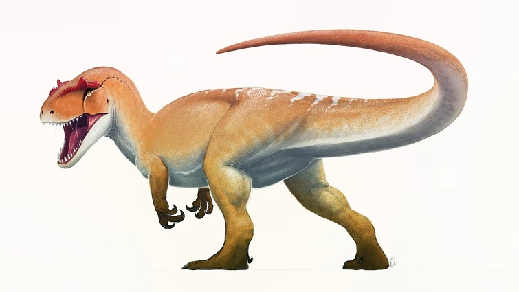 Allosaurus | Fandom