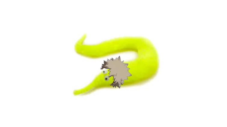 String worm AU (cursed images) | Fandom