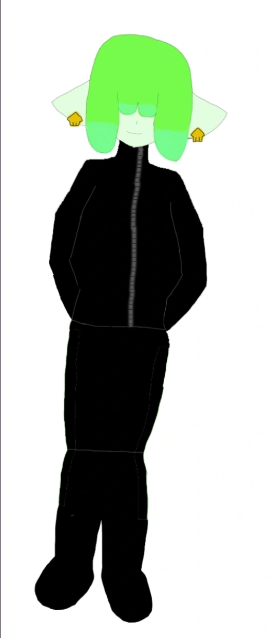 turtle nsbs | Fandom