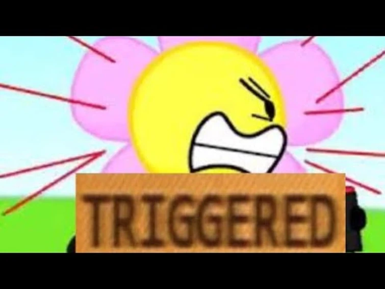 BFDI MEME 2 | Fandom