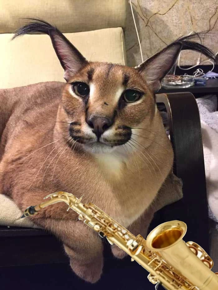 AYO, NEW FLOPPA FRIDAY JUST DROPPED | Fandom