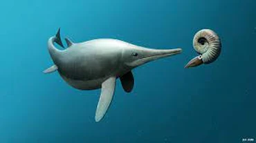 Discuss Everything About Dinopedia | Fandom