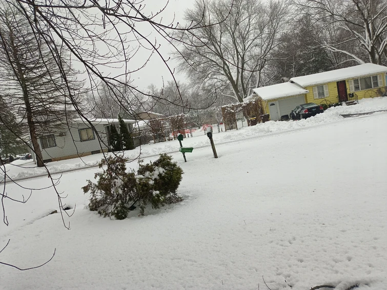 big ass snow | Fandom