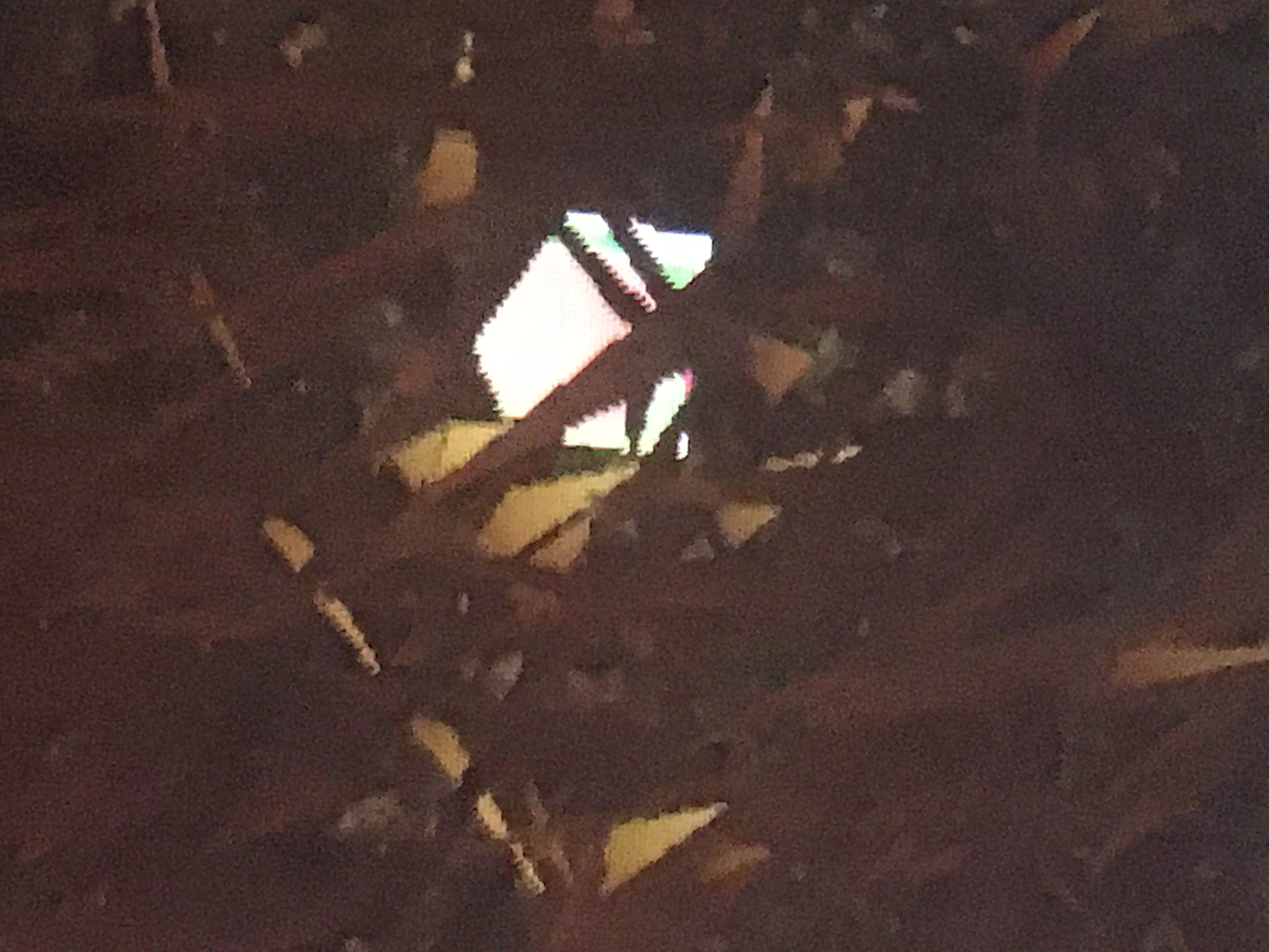 I FOUND THE BURGER | Fandom