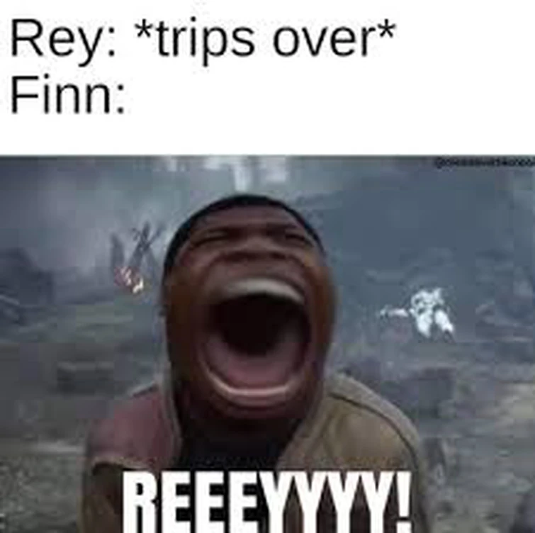 did you know that half of fins lines are "rey" "rey" | Fandom