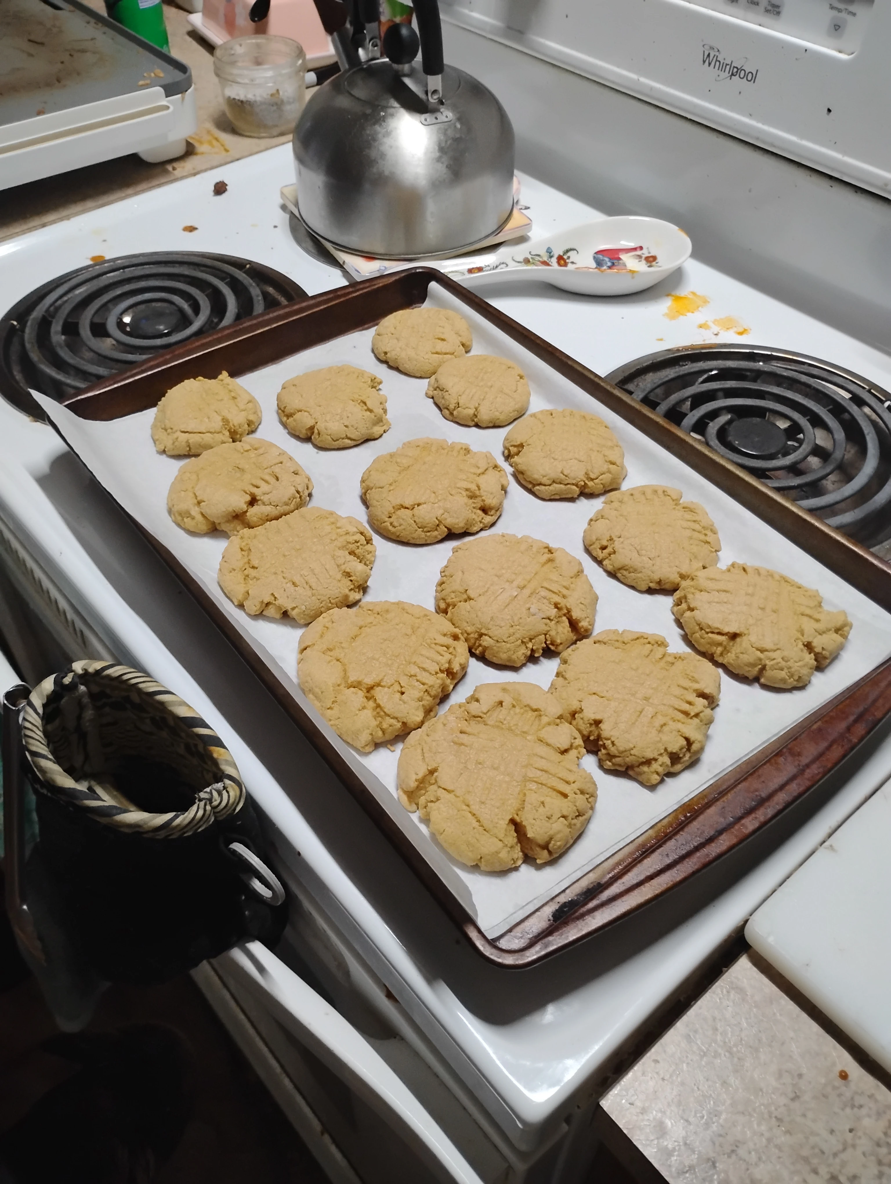 Who wants cookies | Fandom