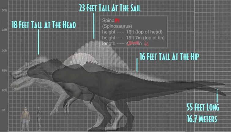 Spinosaurus size should be changed on the wiki | Fandom