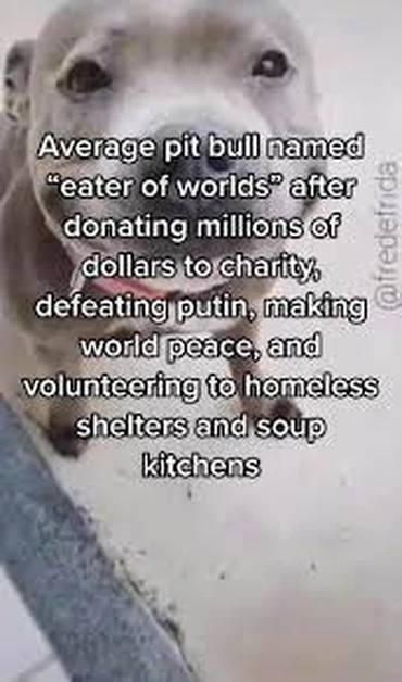 Discuss Everything About Roblox BEAR Wiki | Fandom