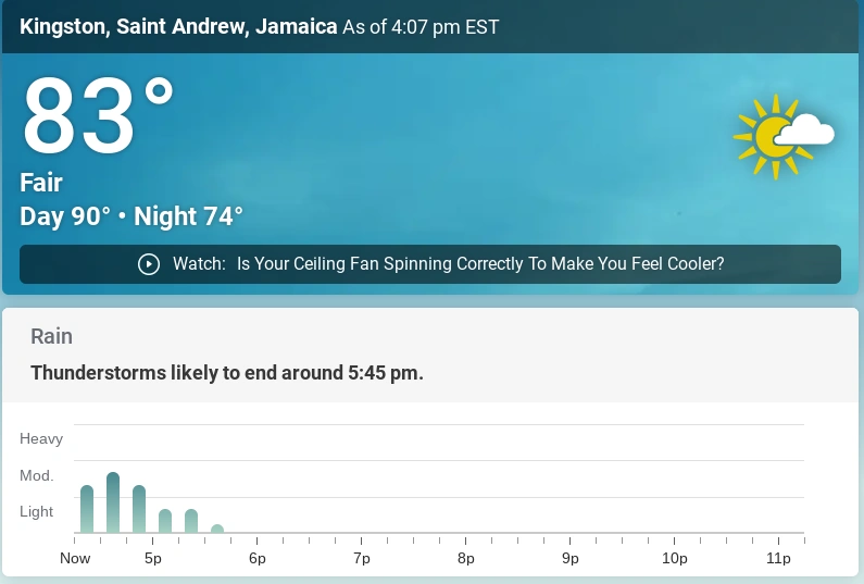 my brain cells are disintegrating | Fandom