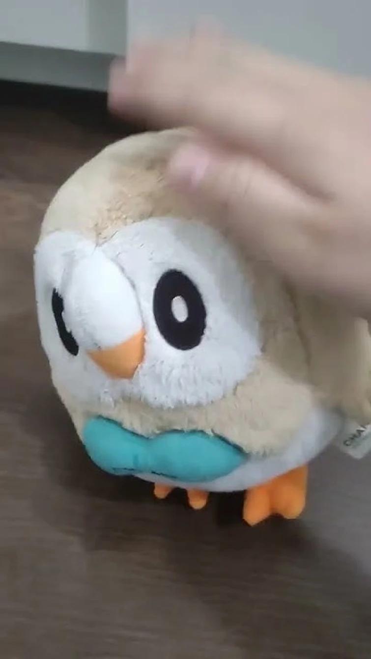 Why is Scarlet and Violet Rowlet like a pwcious baby 🥺 | Fandom