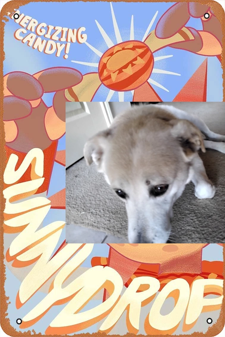 Sundrop and moondrop posters but | Fandom