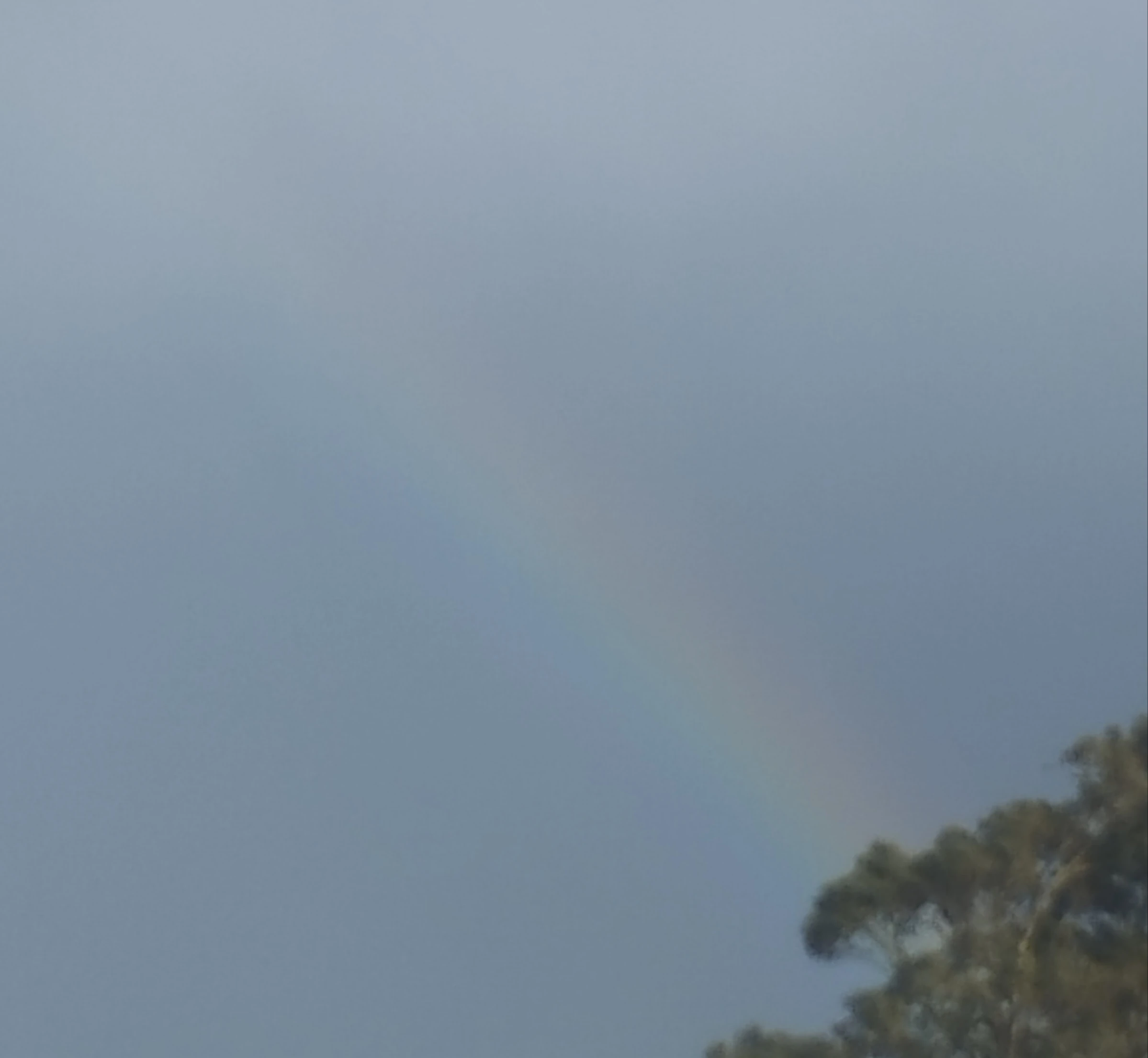 omg it's a rainbow | Fandom