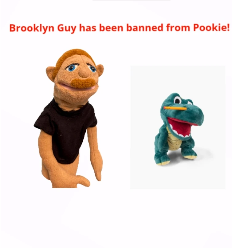Brooklyn Guy Has Been Banned Memes Made By Floppaaaaa | Fandom