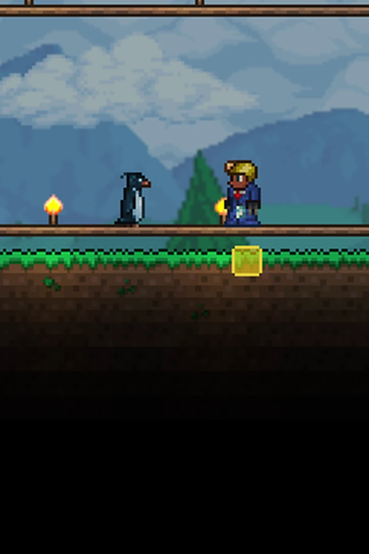 How did this penguin even get here | Fandom