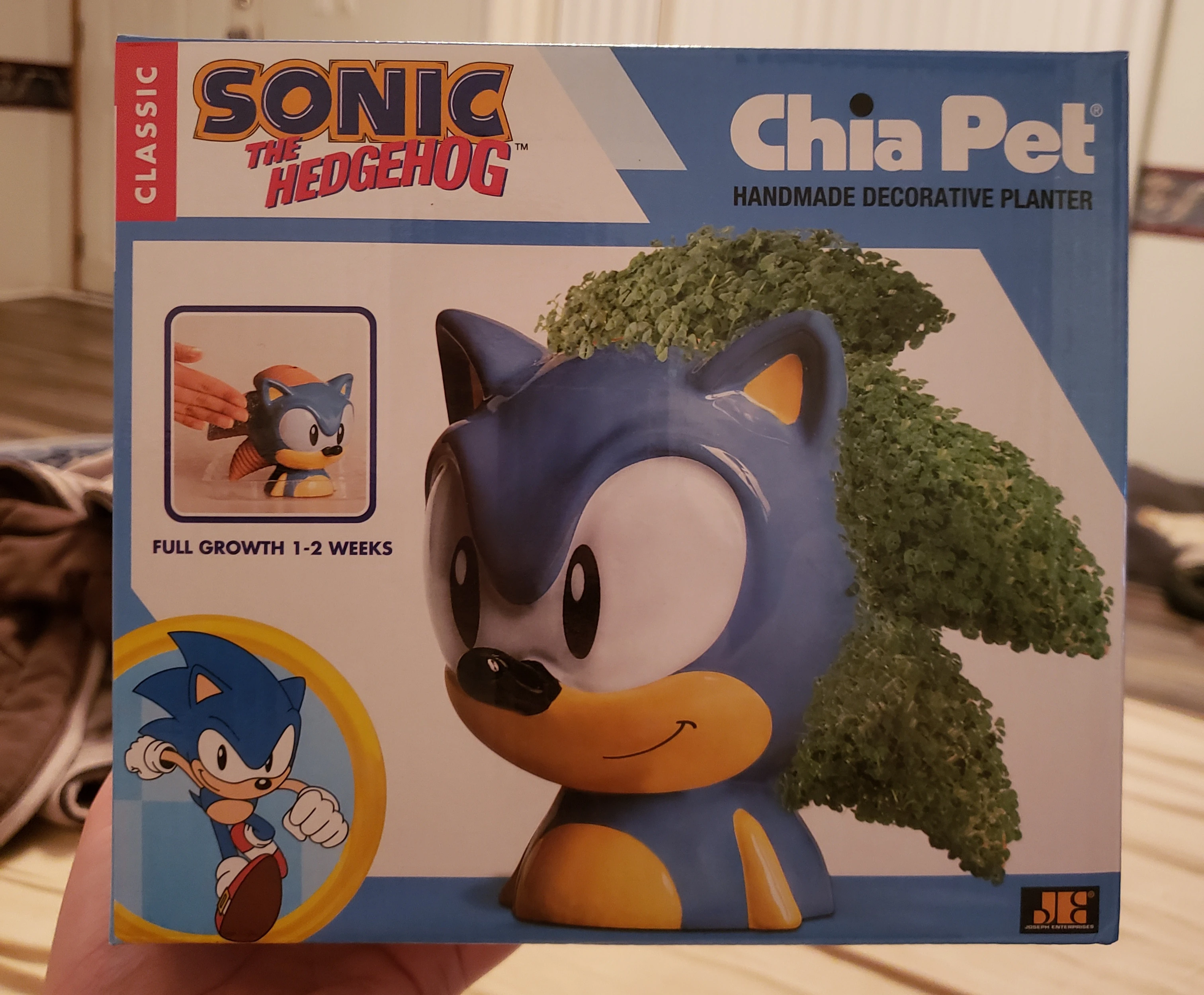 Got a Sonic Chia Pet for Christmas Eve | Fandom